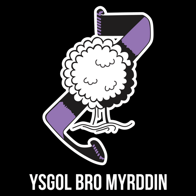Ysgol Bro Myrddin Addysg Gorfforol - Adults – Conquer Teamwear Limited