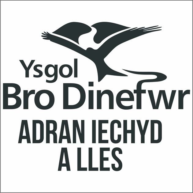 Ysgol Bro Dinefwr, Adran Iechyd A Lles - KIDS – Conquer Teamwear Limited